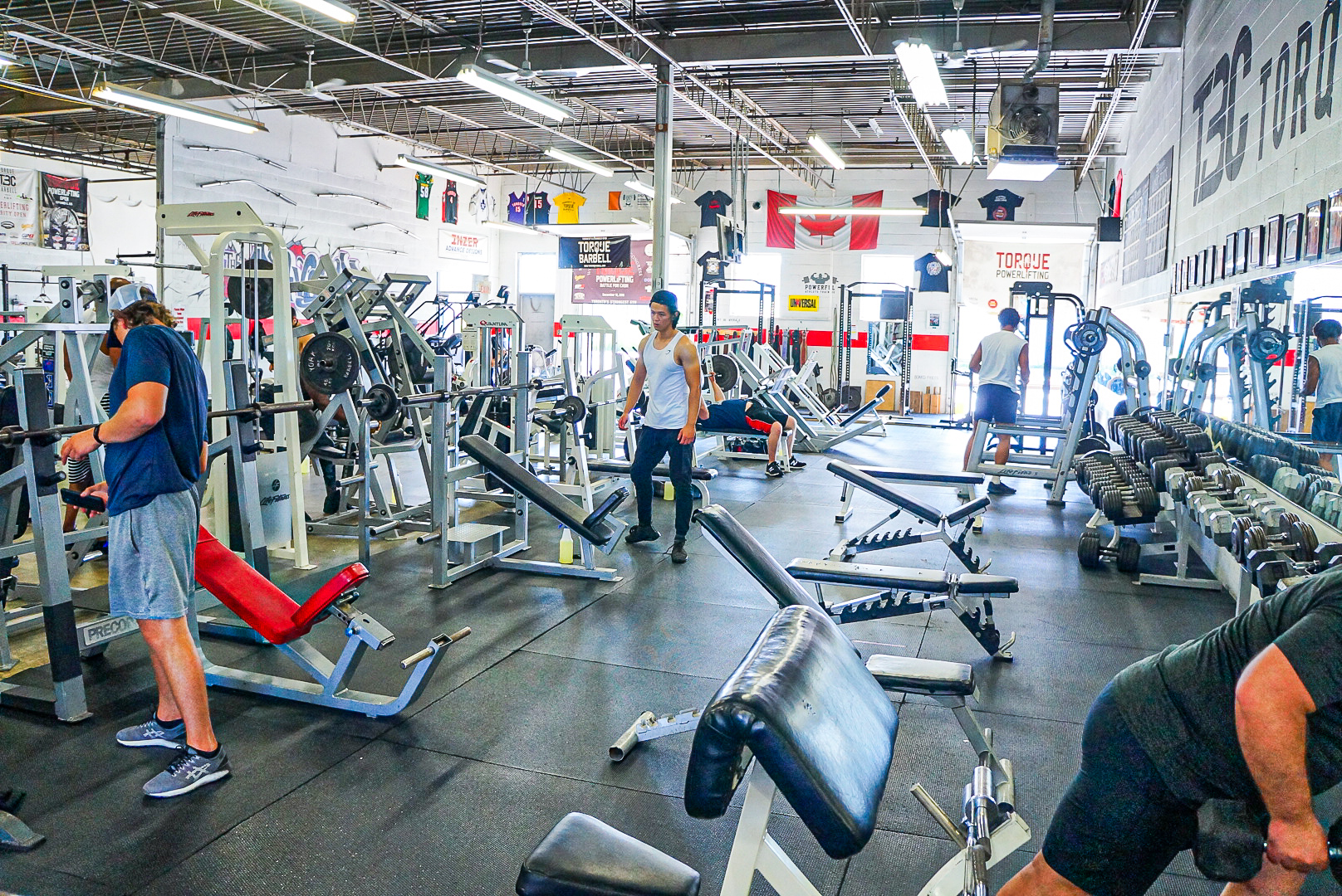 TORQUE RE-OPENS IN PHASE 3 – TORQUE BARBELL