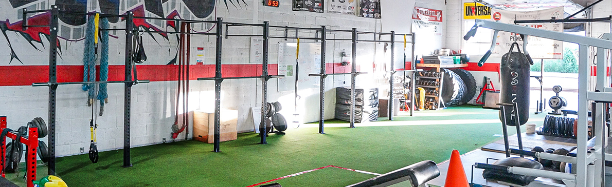 Memberships – TORQUE BARBELL